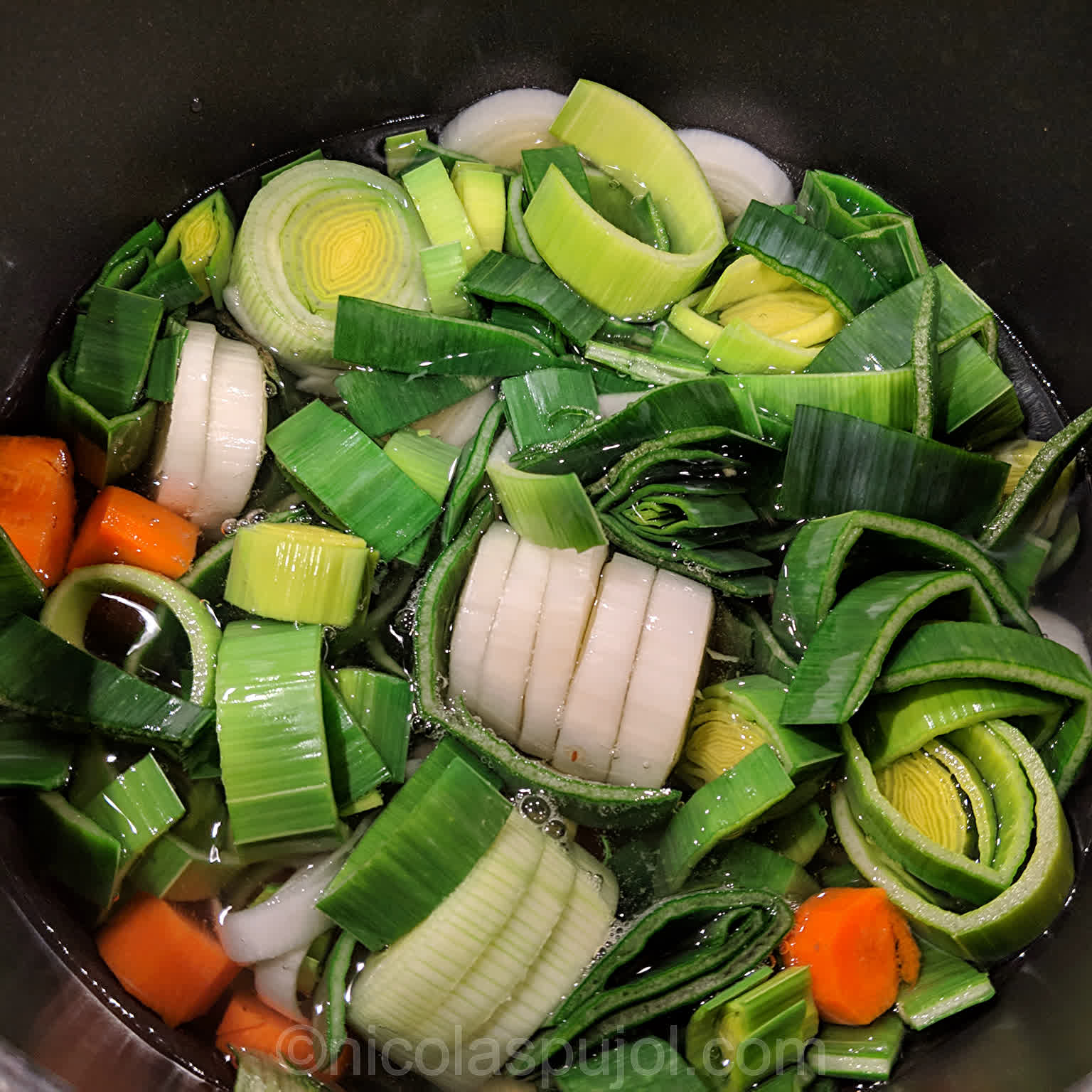 Steamed leek and carrot salad with avocado - Recipes - nicolaspujol.com