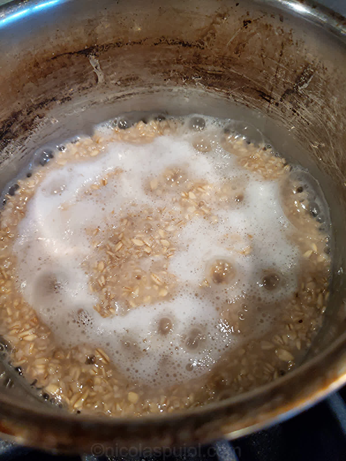 Kale and oatmeal with lemon dressing - Oatmeal - nicolaspujol.com