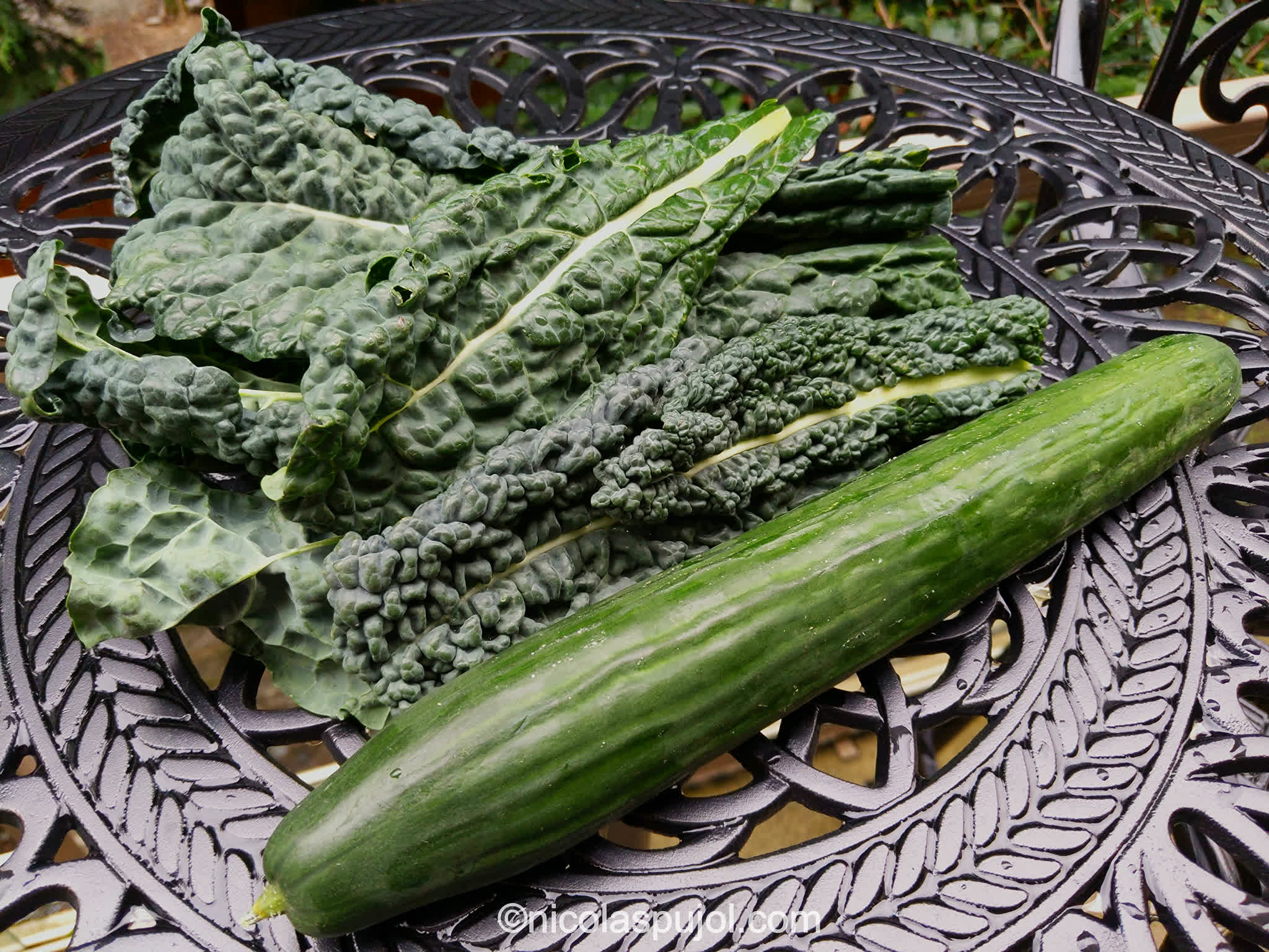 Kale cucumber salad with golden beet dressing - Recipes - nicolaspujol.com