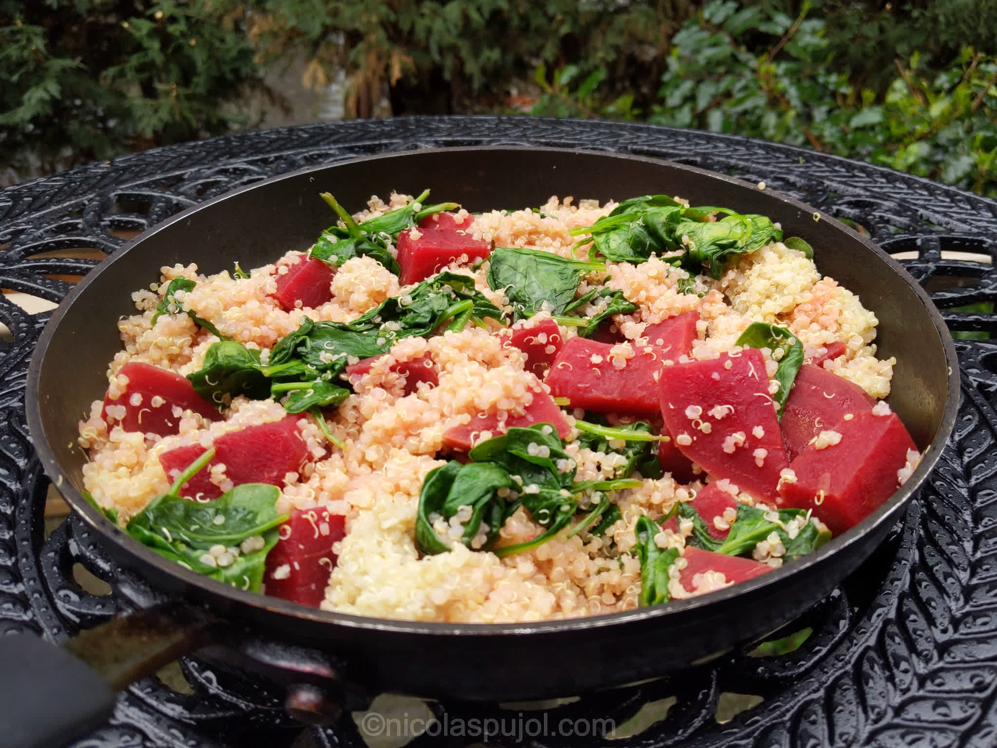 Hot quinoa salad with beets and spinach - Quinoa - nicolaspujol.com